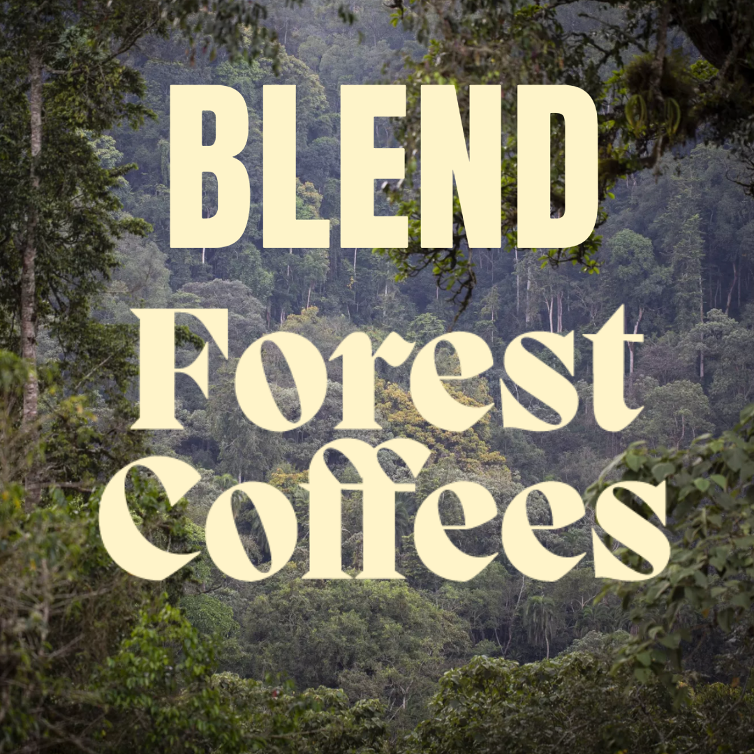 Blend FOREST COFFEE