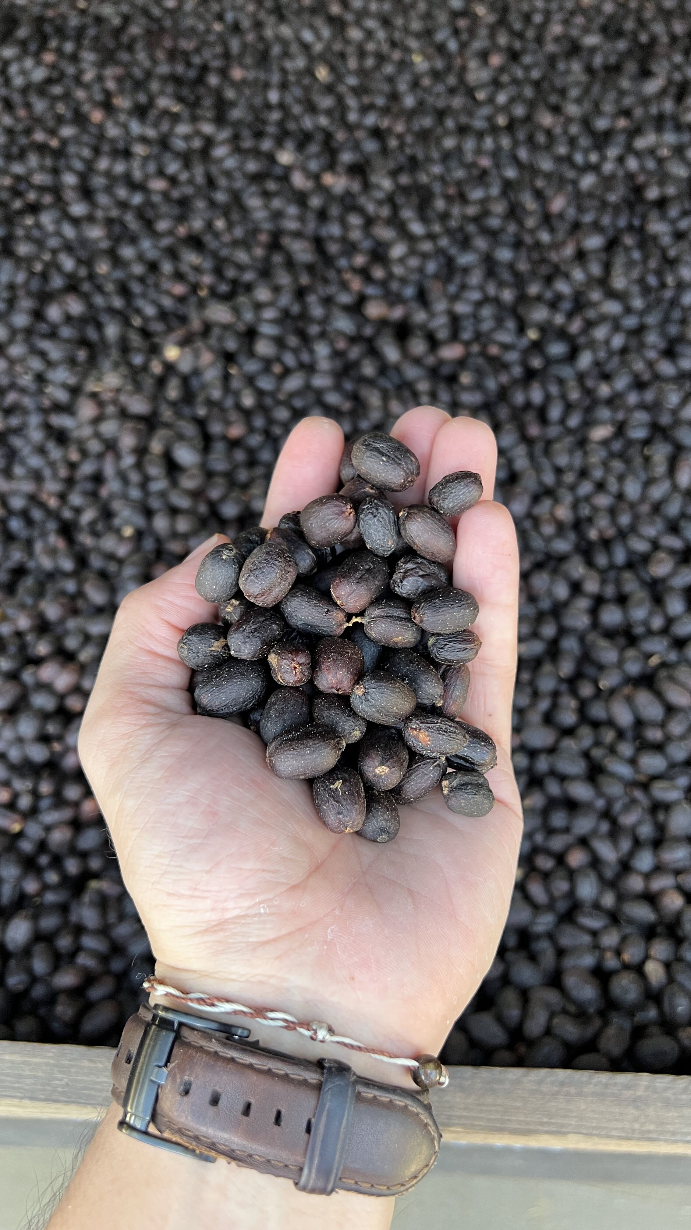 Annual report - Use of the Cosecha Partners development fund